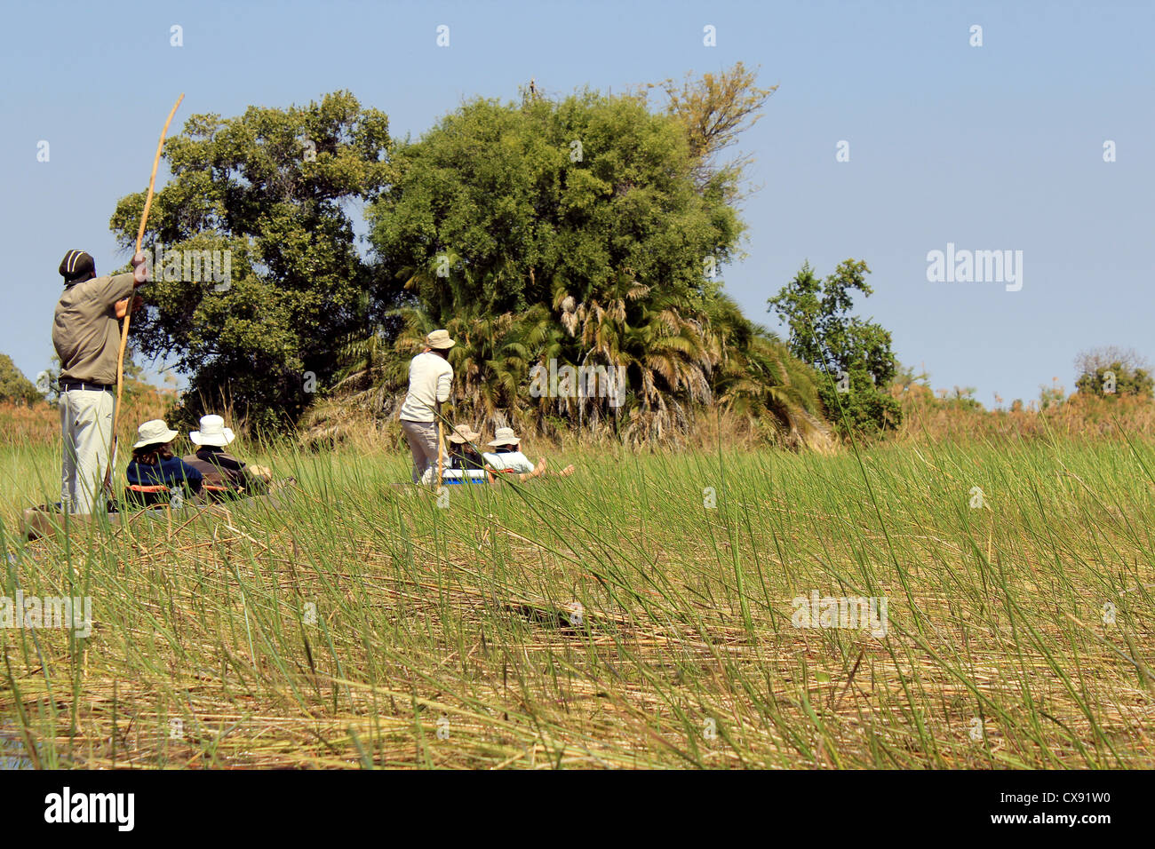 Ride in a traditional Okavango Delta mokoro canoe, through the reed ...