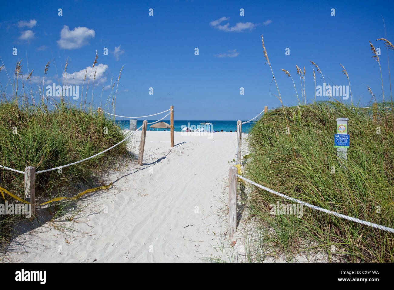Beach path in South Beach, Miami Beach, Florida, USA Stock Photo - Alamy