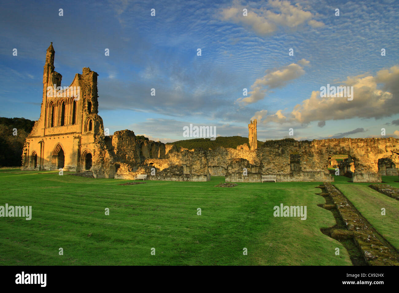 Byland abbey church buildings england monks ruin derelict building hi ...