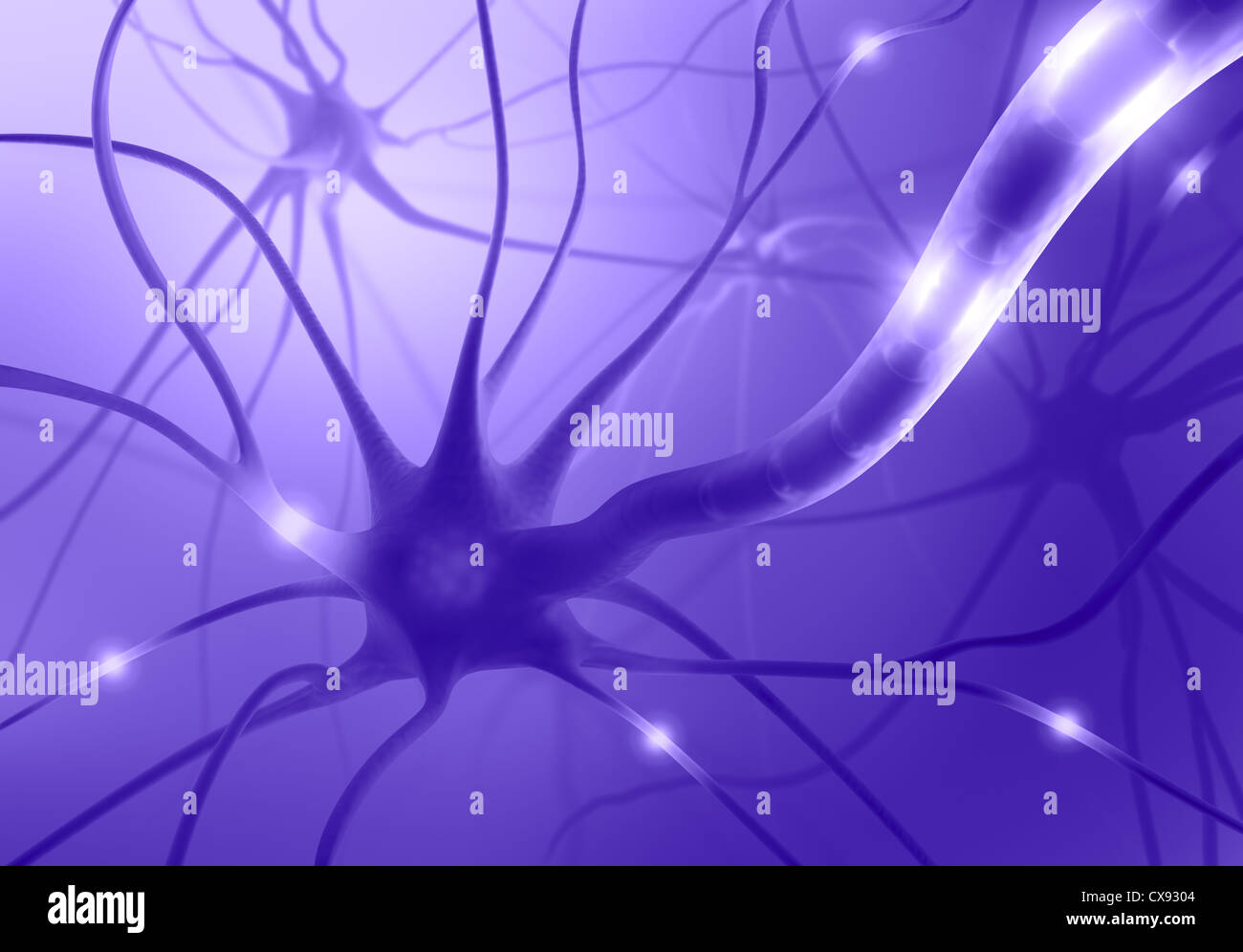 Interconnected neurons transferring information with electrical pulses ...