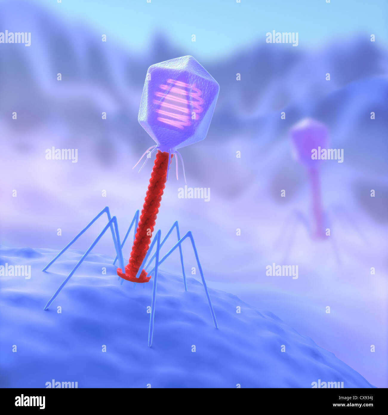 Concept of attack. Bacteriophage are viruses that infect bacteria Stock ...
