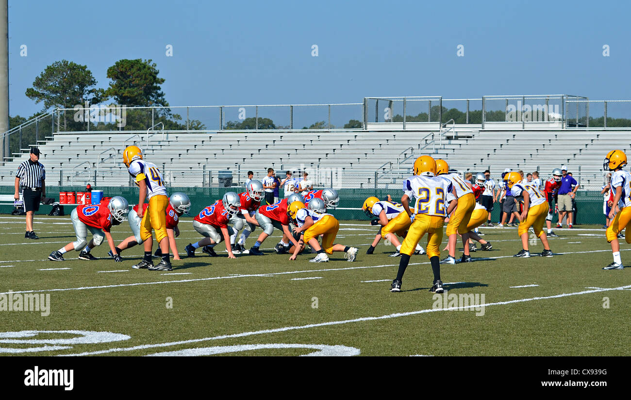 Official field hi-res stock photography and images - Alamy