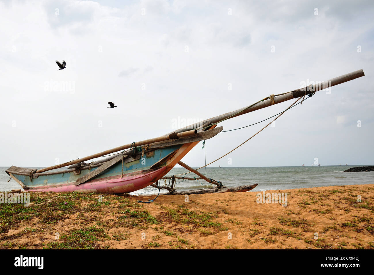 fishing boat parked by the beach in waikkal Stock Photo - Alamy