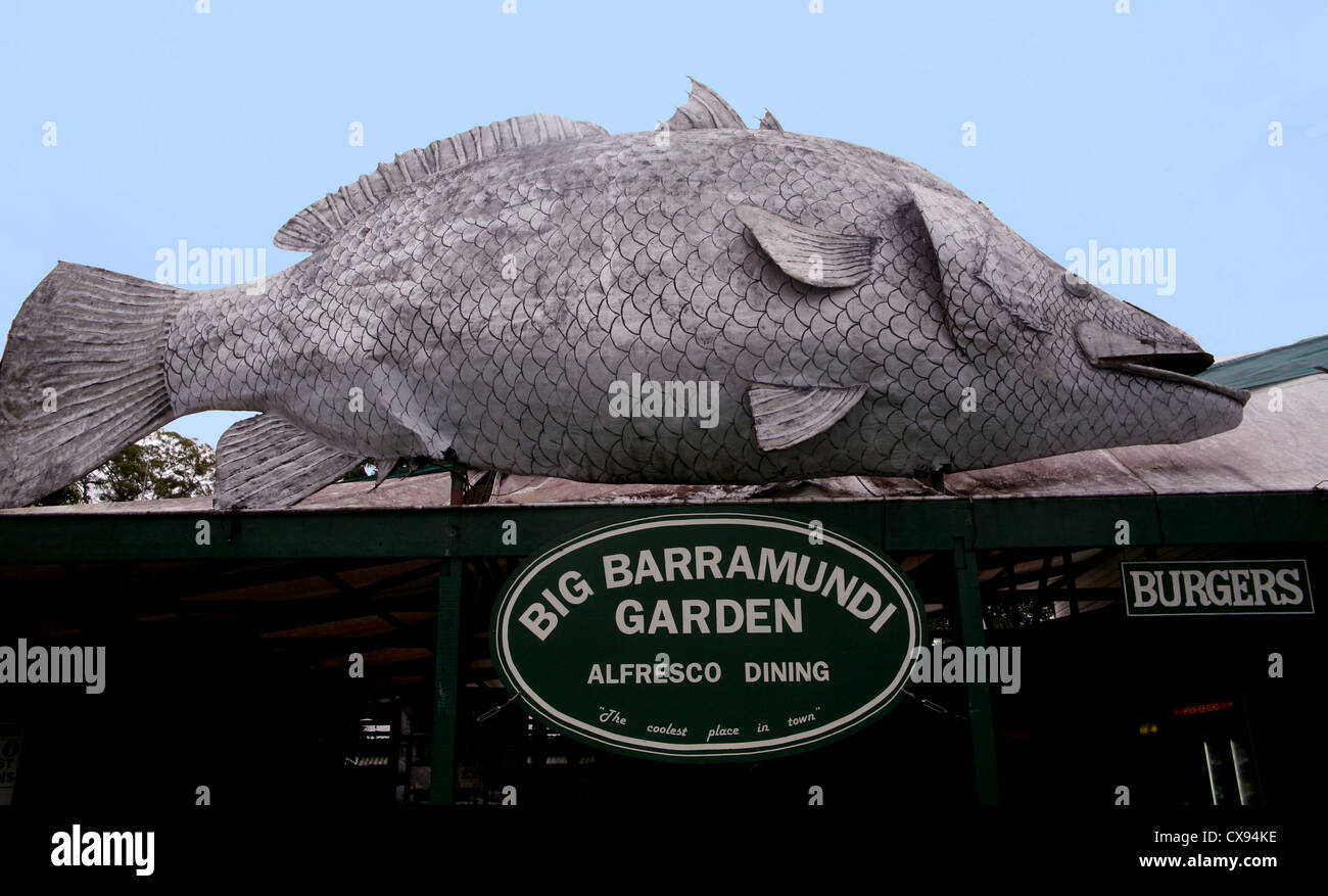 Barramundi queensland hi-res stock photography and images - Alamy