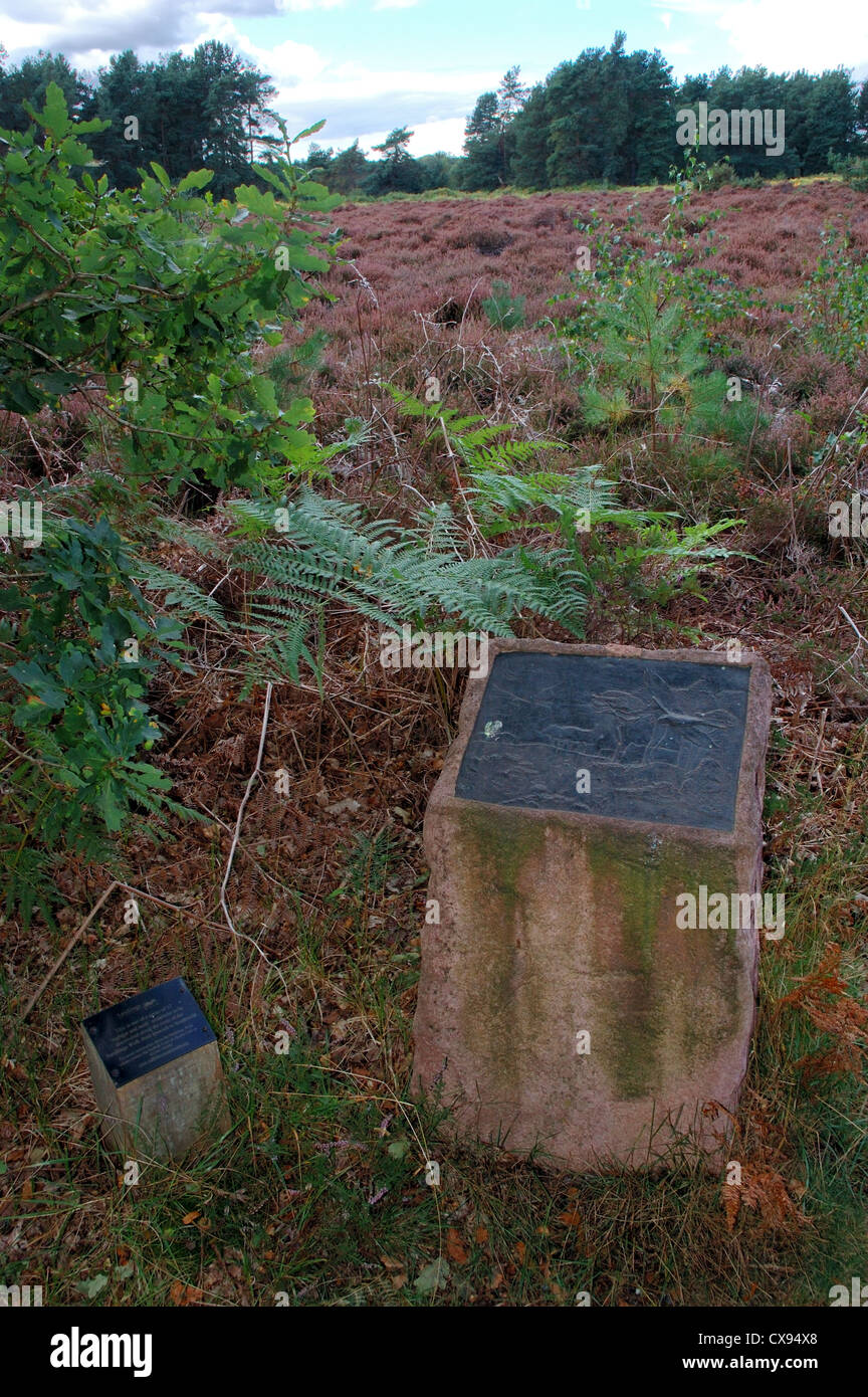 Sandlings Walk at Blaxhall Common, Tunstall Forest, Suffolk, UK Stock ...