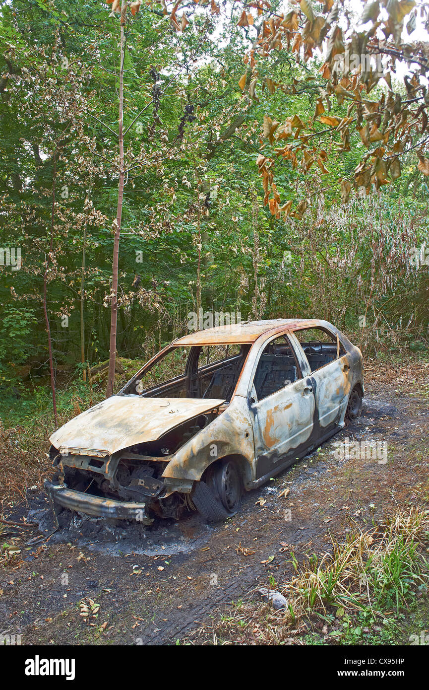 Burnt out car in woodland Stock Photo - Alamy