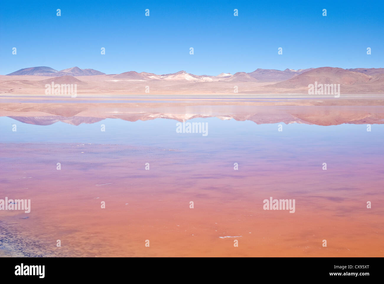 Laguna colorada red hi-res stock photography and images - Alamy