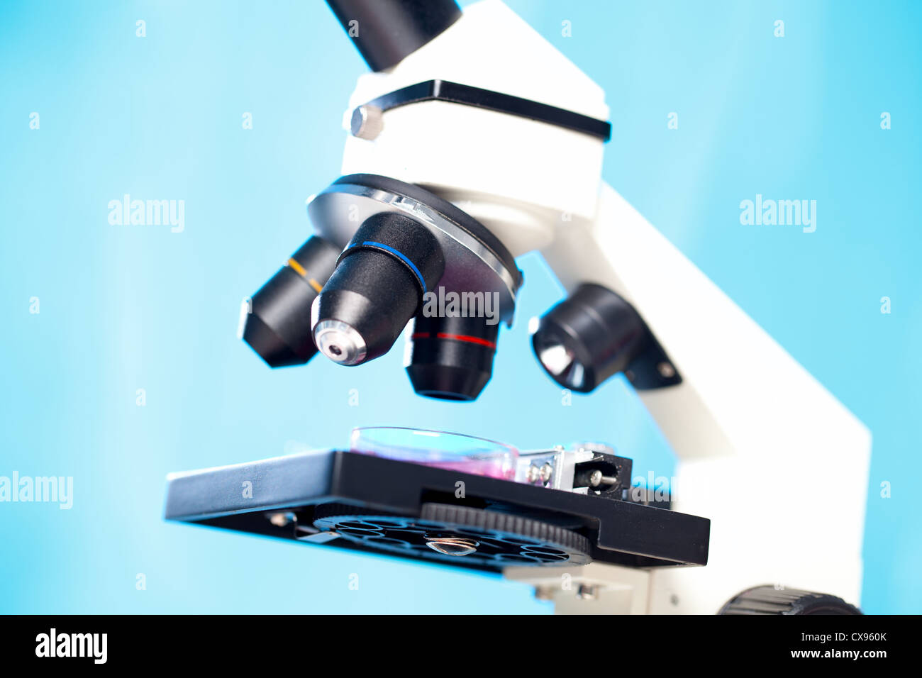 Microscope cutout hi-res stock photography and images - Alamy