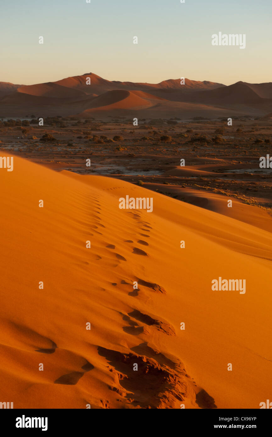 The dramatic red dunes of Sossusvlei, Namibia Stock Photo - Alamy