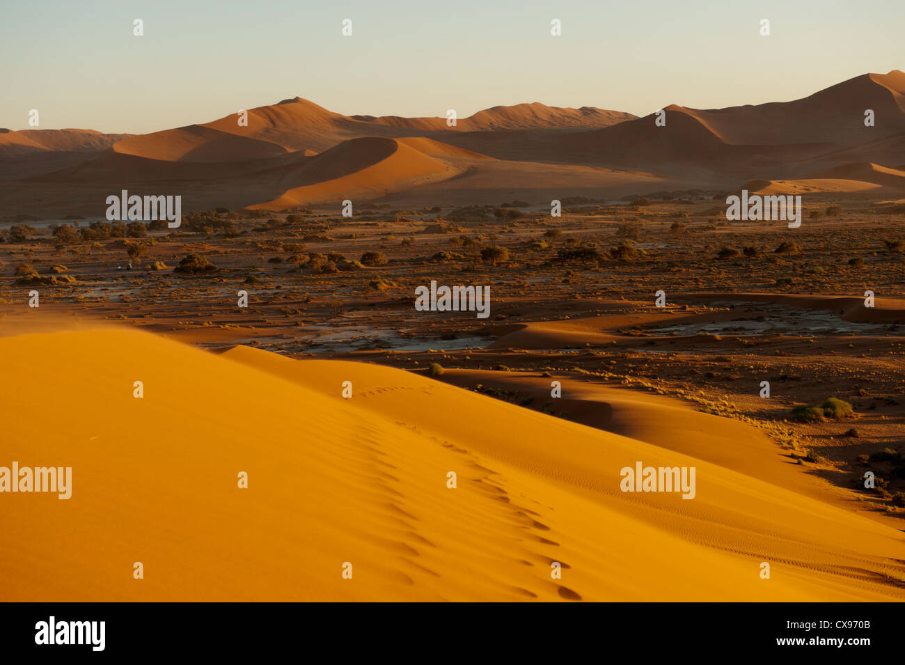The dramatic red dunes of Sossusvlei, Namibia Stock Photo - Alamy