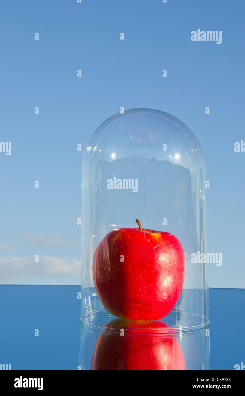 The bell jar hi-res stock photography and images - Alamy