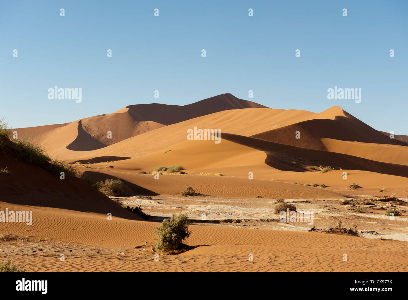 The dramatic red dunes of Sossusvlei, Namibia Stock Photo - Alamy