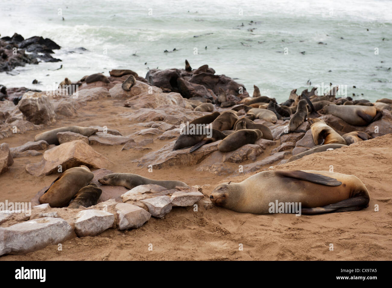 Skeleton coast, namibia beach hi-res stock photography and images - Alamy