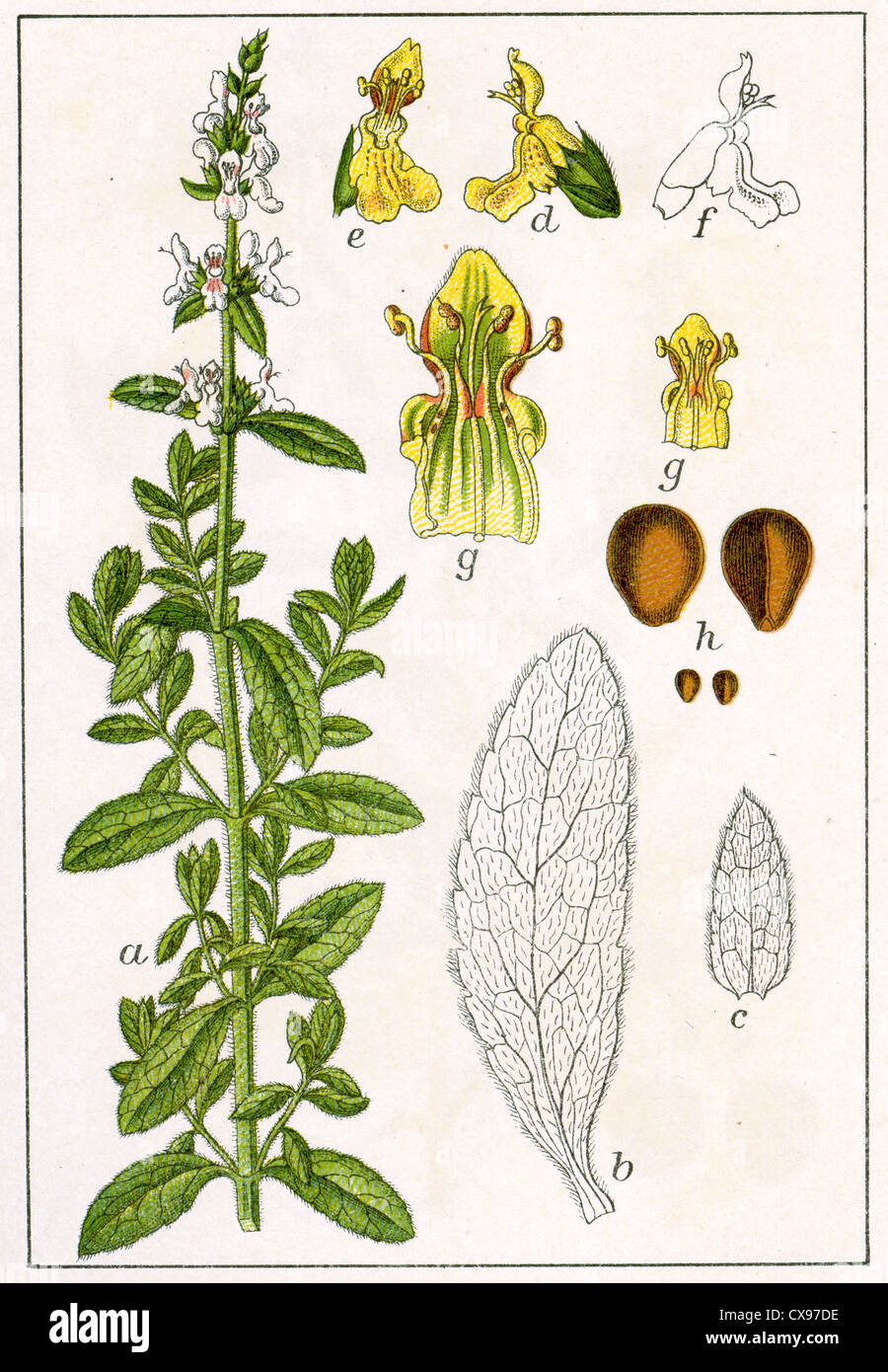 Recta h hi-res stock photography and images - Alamy