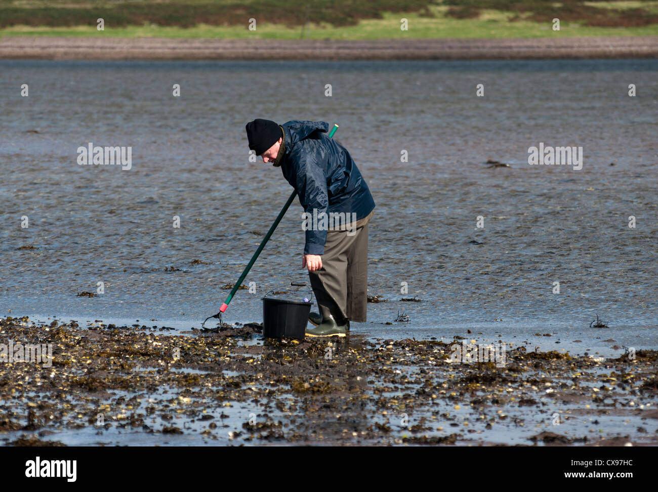 Man cockling hi-res stock photography and images - Alamy