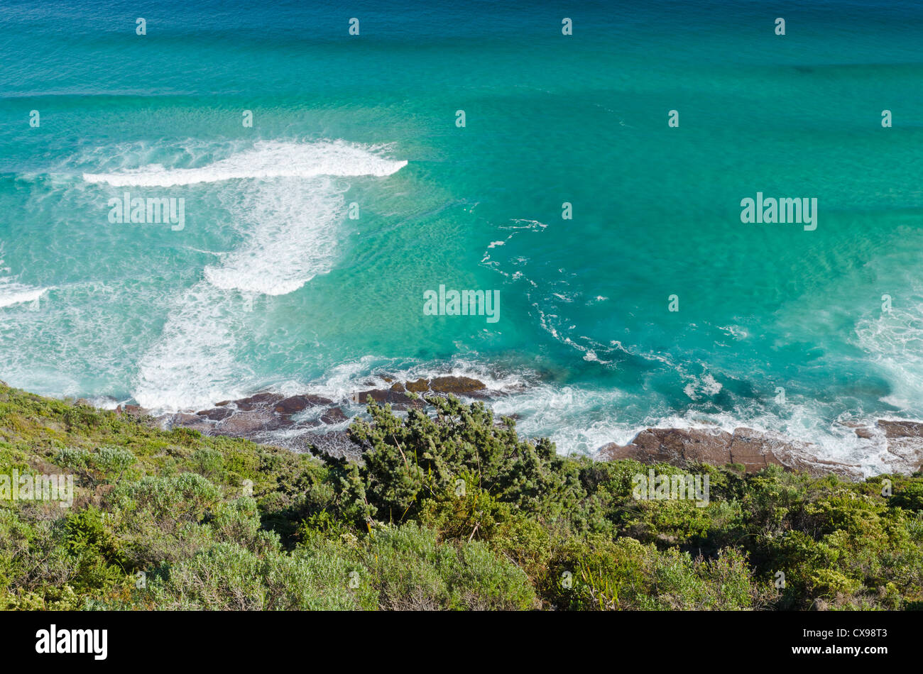 Coastal vegetation hi-res stock photography and images - Alamy