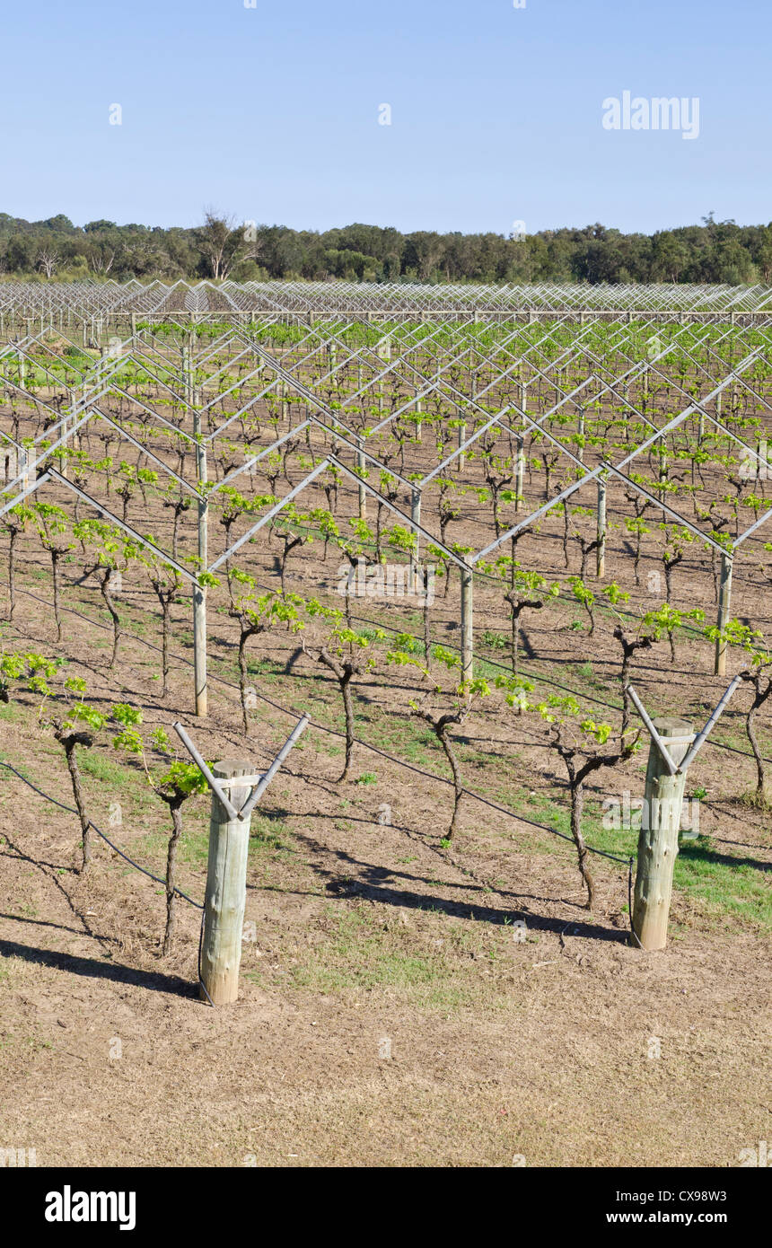 Perth agriculture hi-res stock photography and images - Alamy