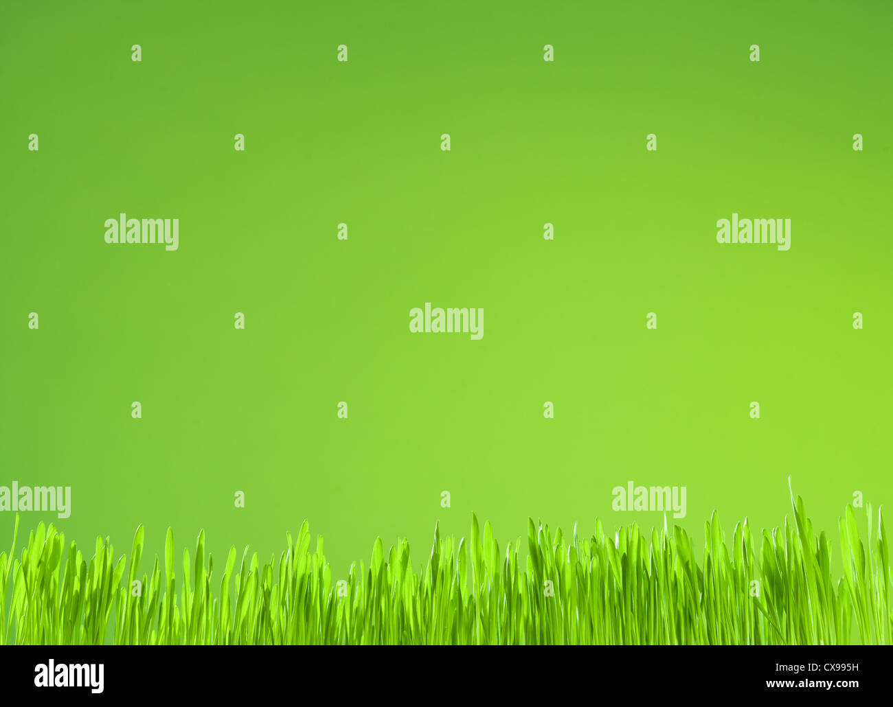 Green background hi-res stock photography and images - Alamy