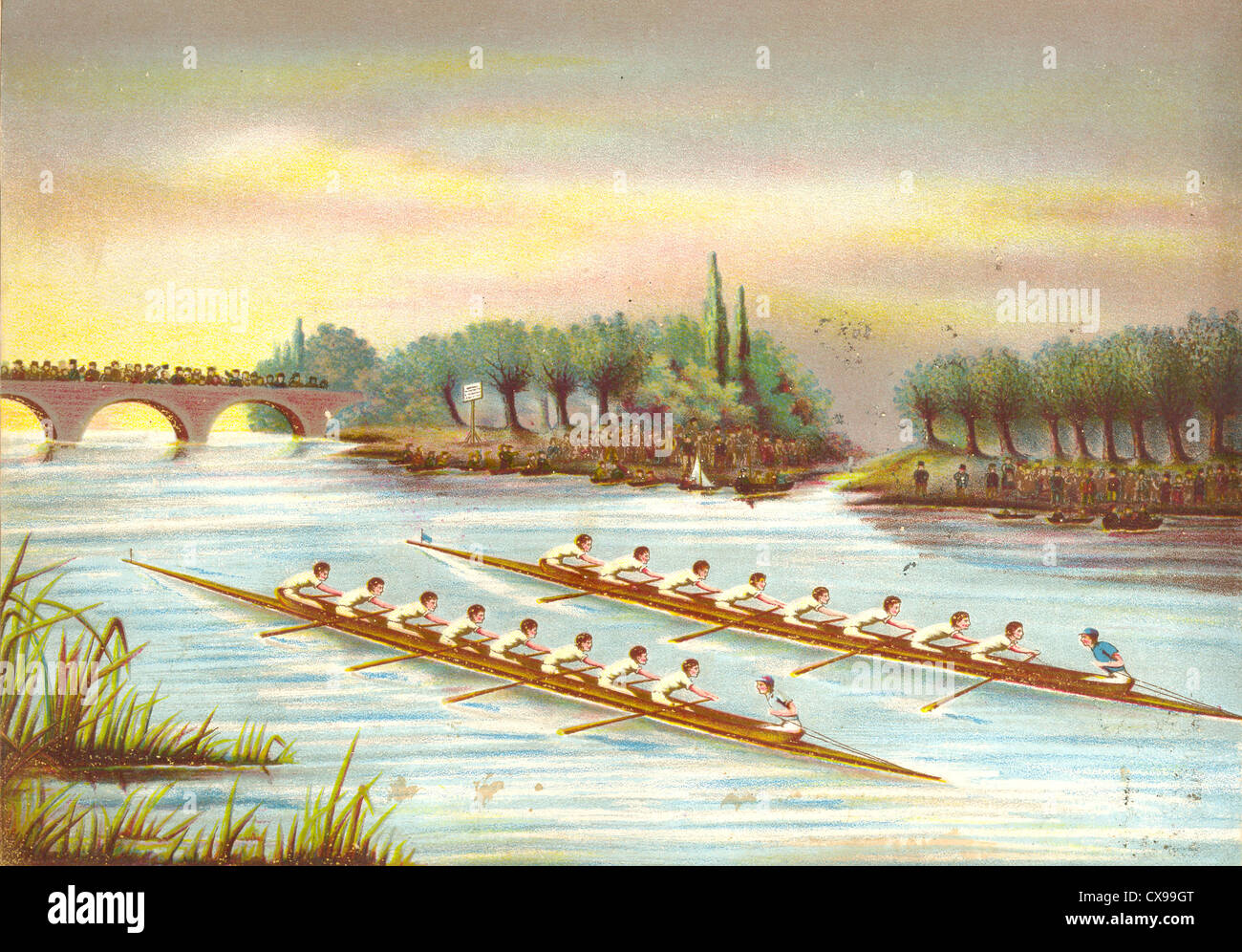 Rowing eights race on river Stock Photo - Alamy