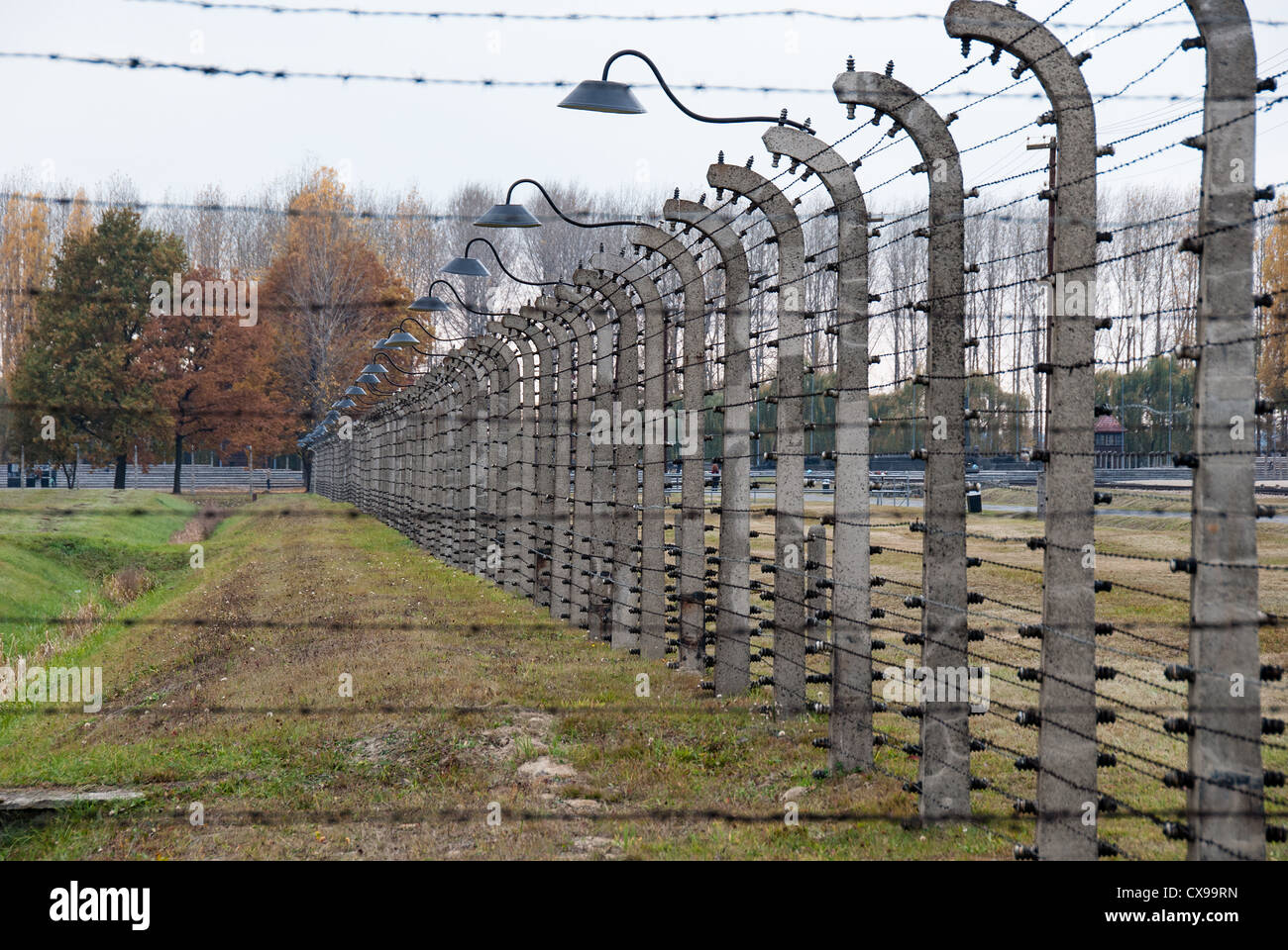 German dead in barbed wire hi-res stock photography and images - Alamy