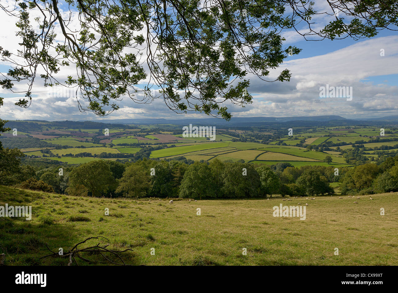 Usk valley trees hi-res stock photography and images - Alamy