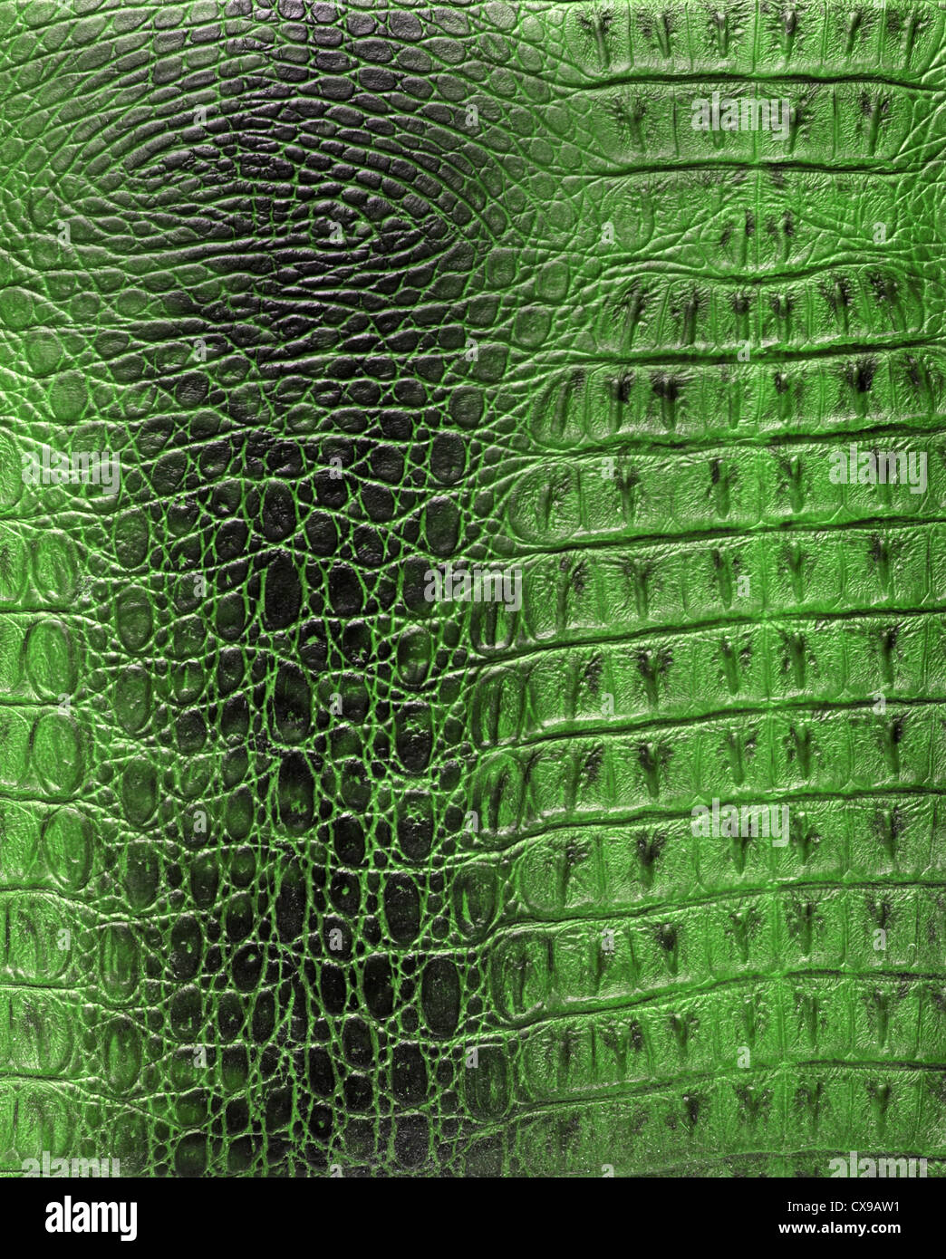 Reptile skin texture Stock Photo - Alamy