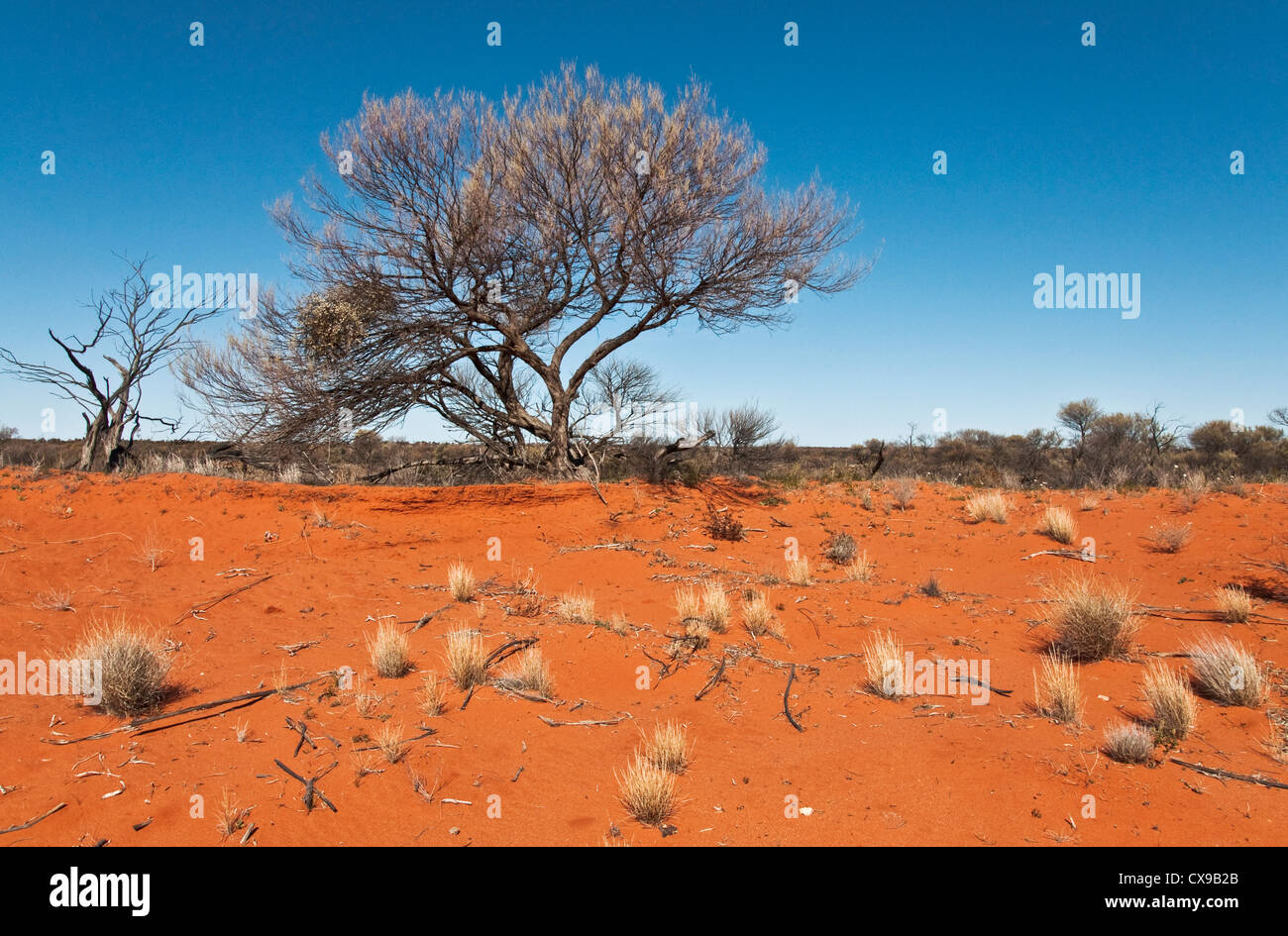 the red center in the australian outback Stock Photo - Alamy
