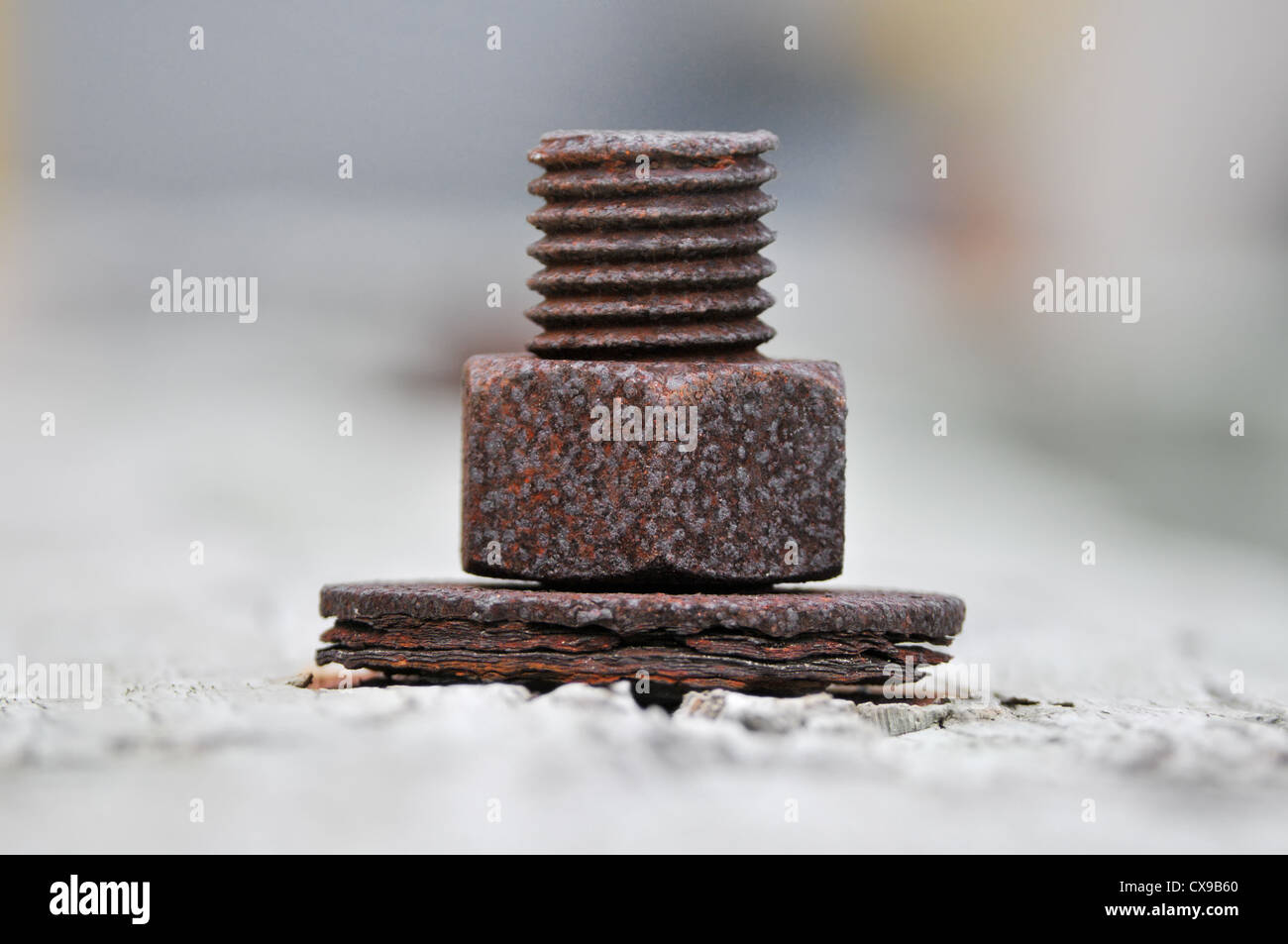 Rusty Screws. Soft focus view Stock Photo - Alamy