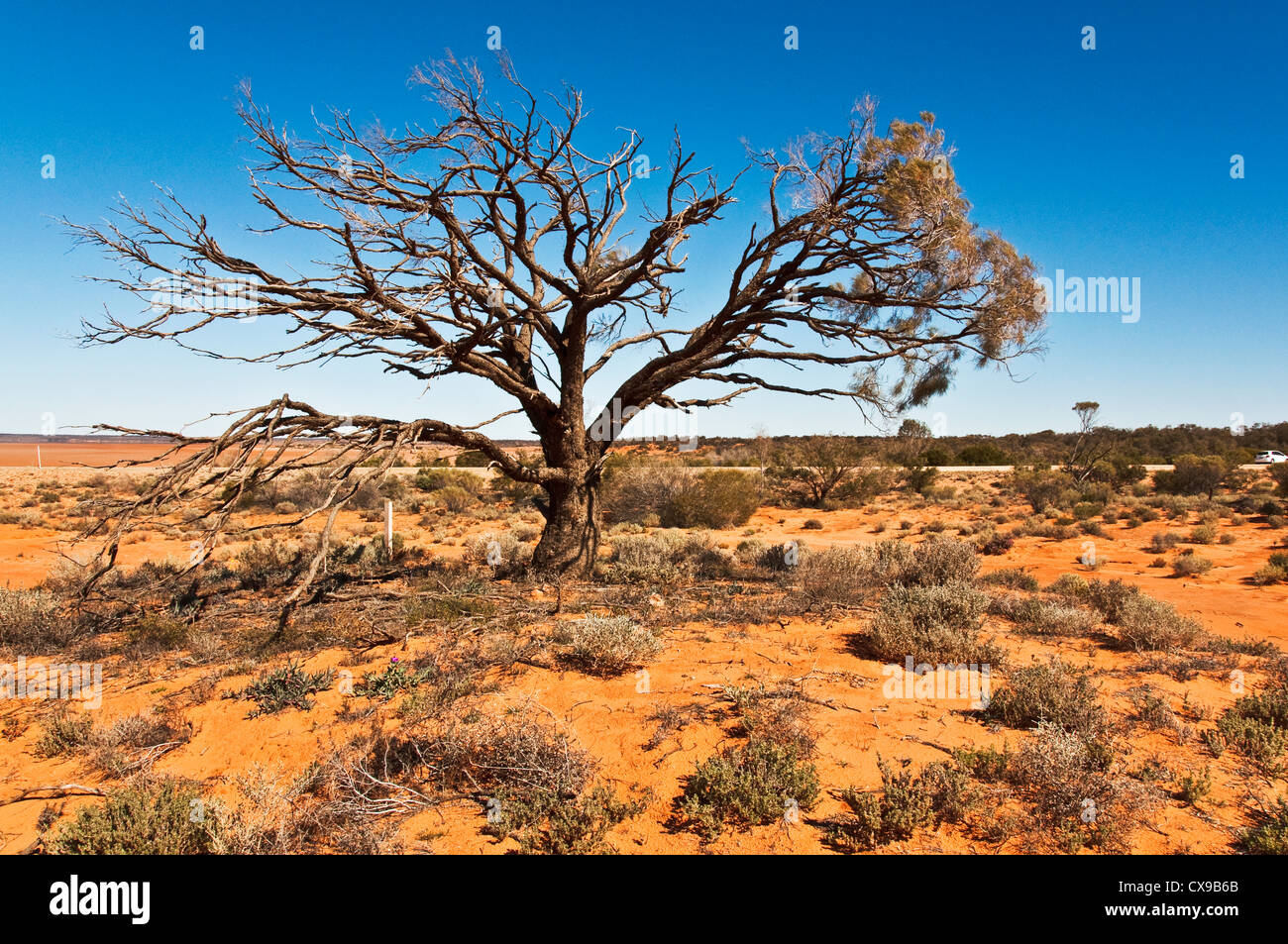 the red center in the australian outback Stock Photo - Alamy