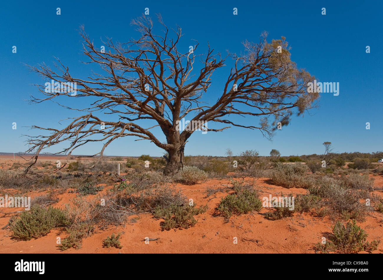 the red center in the australian outback Stock Photo - Alamy