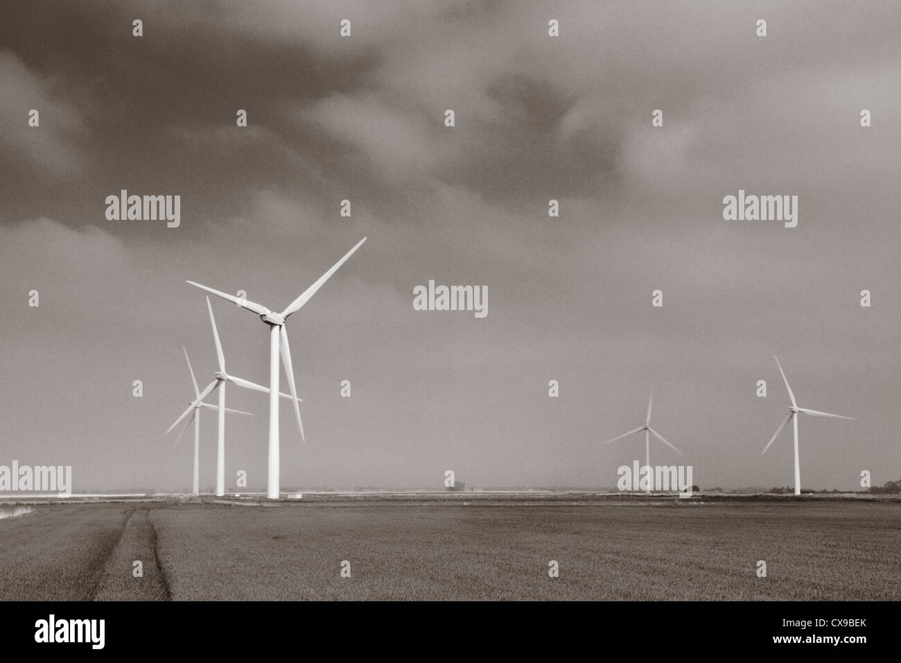 landscape shots of windmill farm near chatteris set in the ...