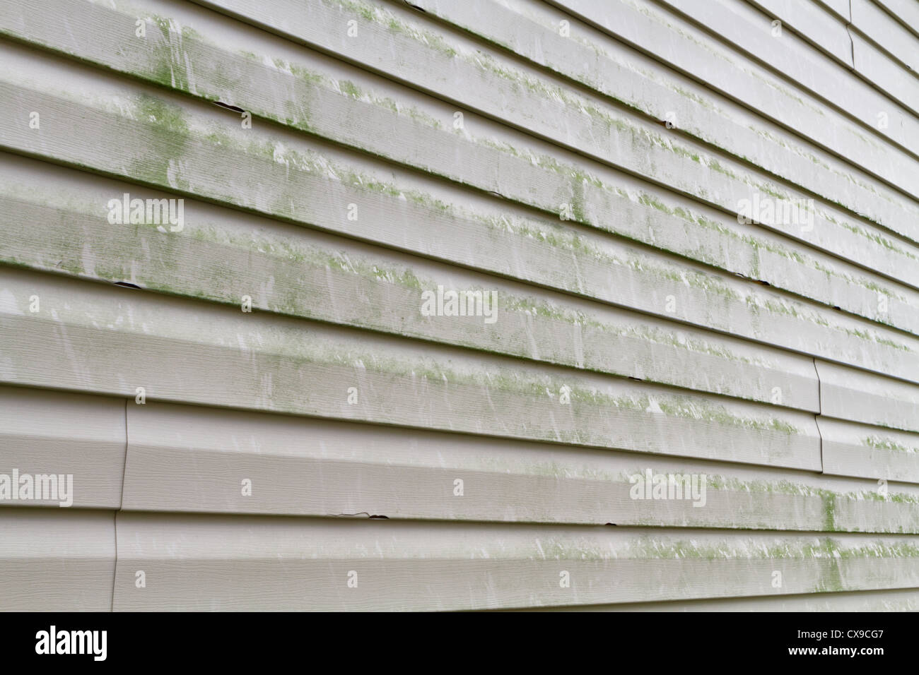 Dirty mold High Resolution Stock Photography and Images - Alamy