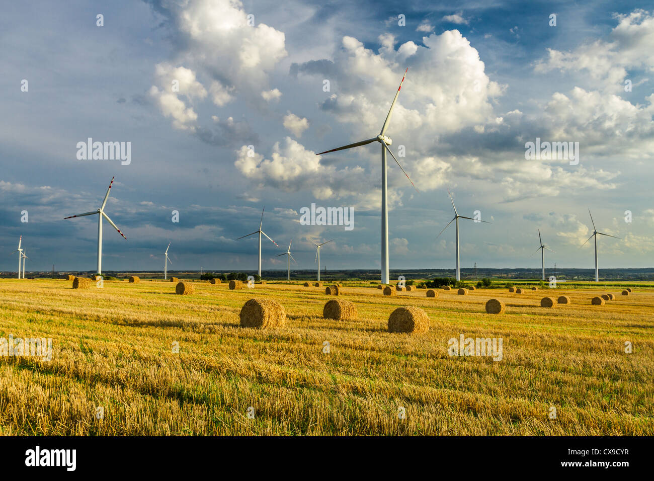 View of electric windmills in field Stock Photo - Alamy