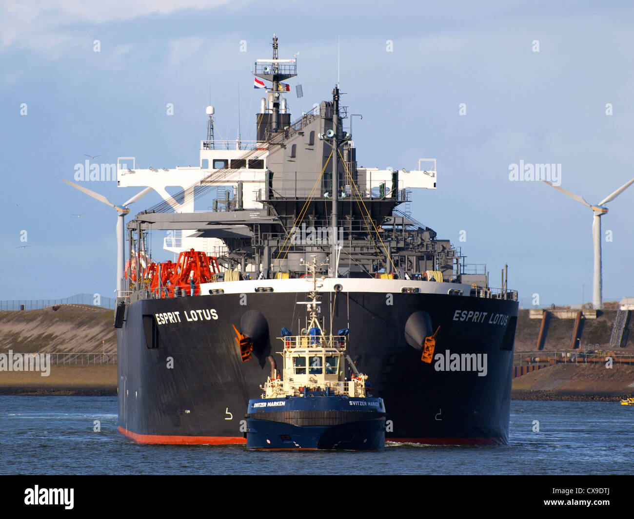 The Esprit Lotus IMO 9343443 is a large cargo ship seen at the Port of ...