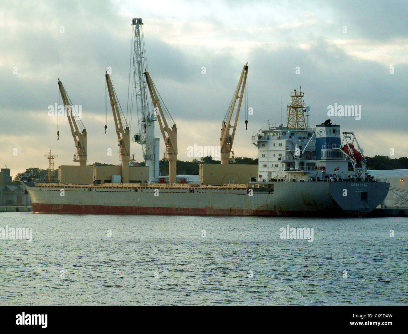 The Cornelia is a container ship operating in the port of Antwerp ...