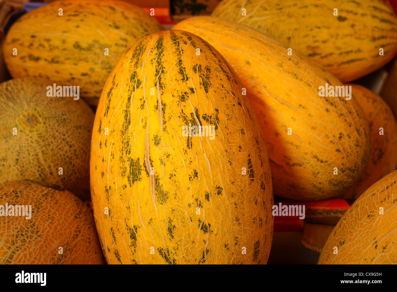 Snow melons hi-res stock photography and images - Alamy