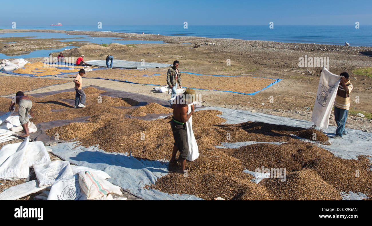 Emptying out hi-res stock photography and images - Alamy