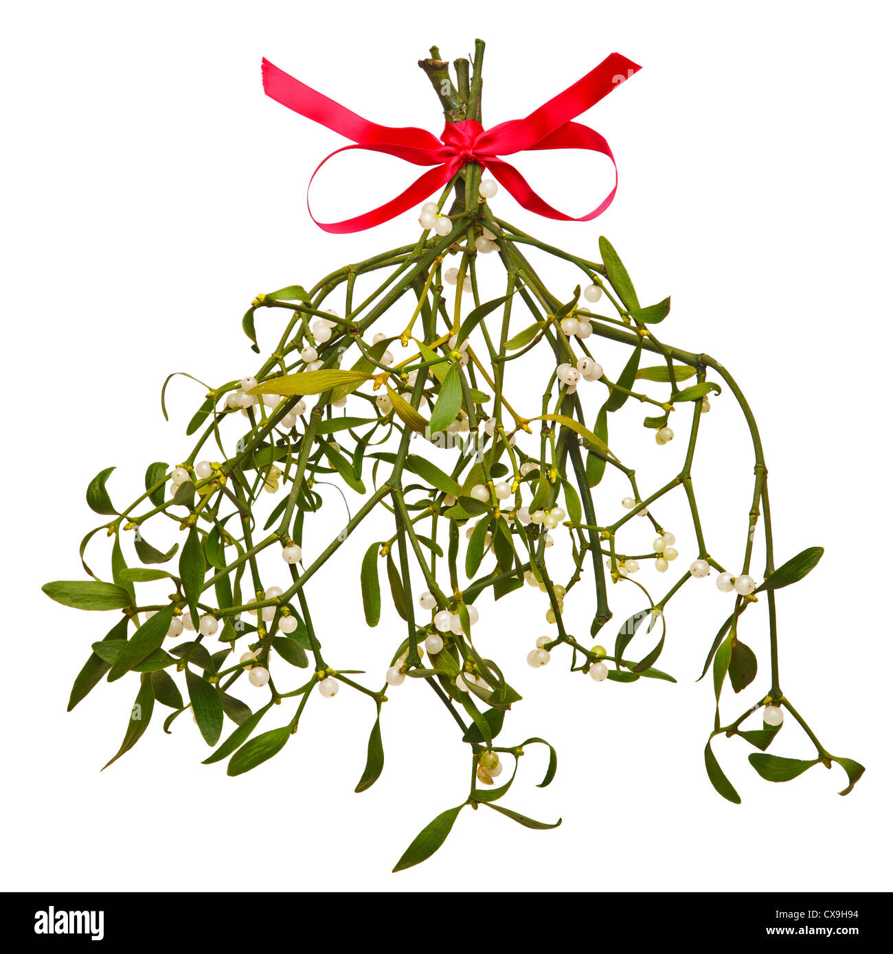 A bunch of mistletoe with a red bow, isolated on a white background ...
