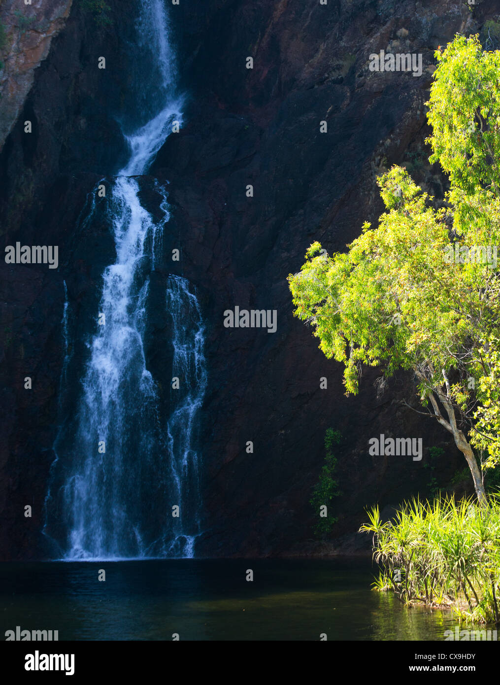 Wangi Falls in Litchfield National Park, Northern Territory Stock Photo ...
