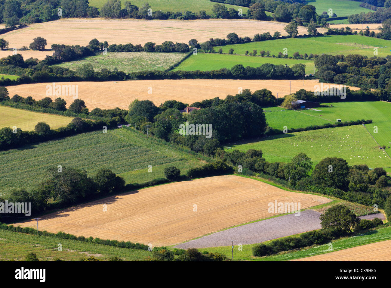 Patchwork agriculture fields crops hi-res stock photography and images ...