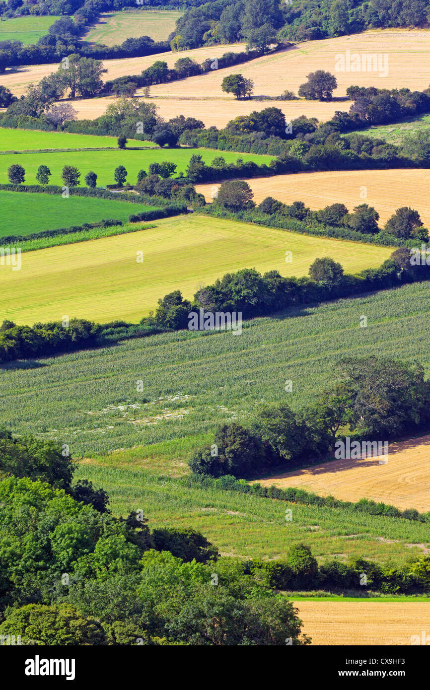Patchwork fields farms in hi-res stock photography and images - Alamy