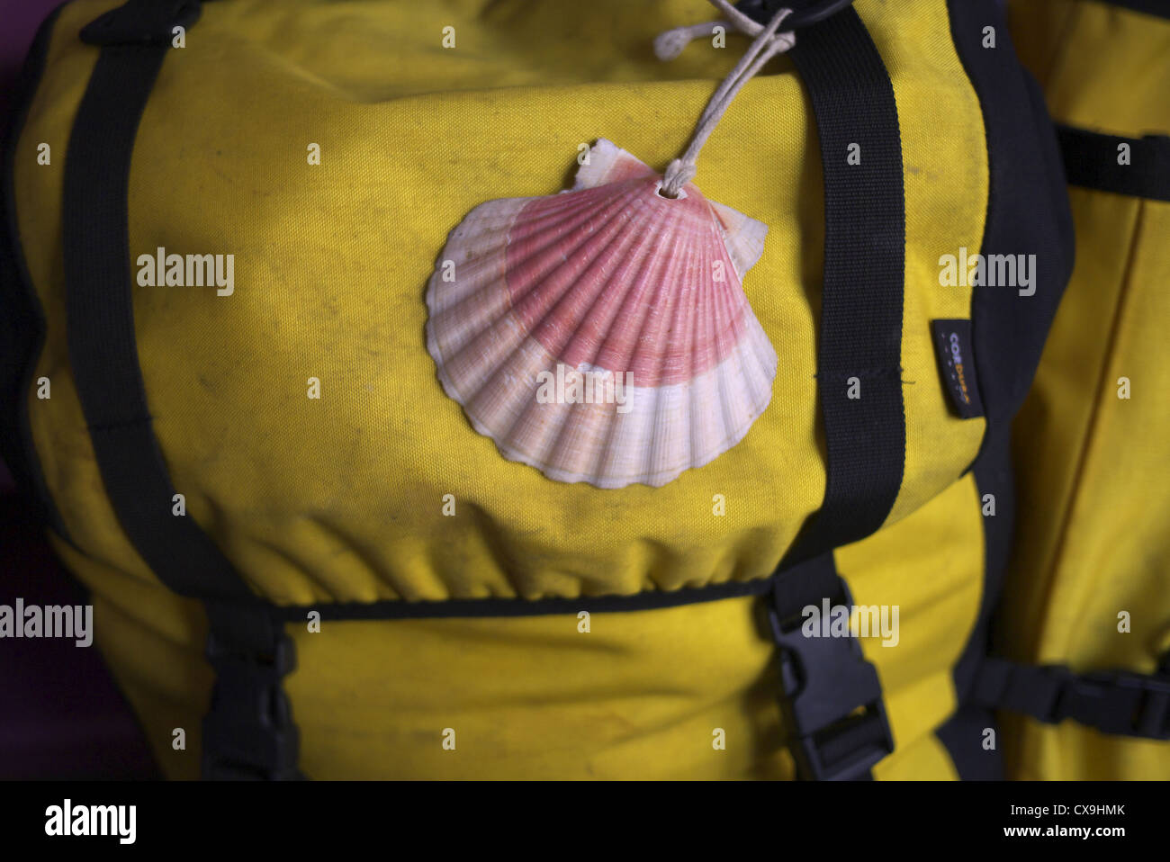 Scallop shell sign hi-res stock photography and images - Alamy