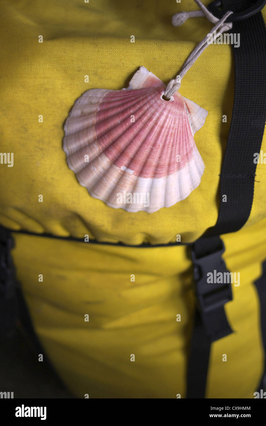 Camino de santiago shell hi-res stock photography and images - Alamy