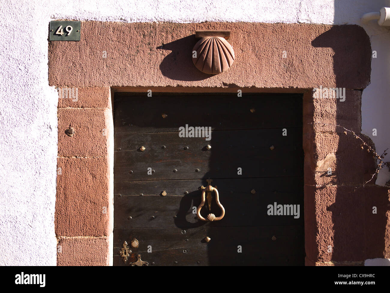 Shell motif hi-res stock photography and images - Alamy