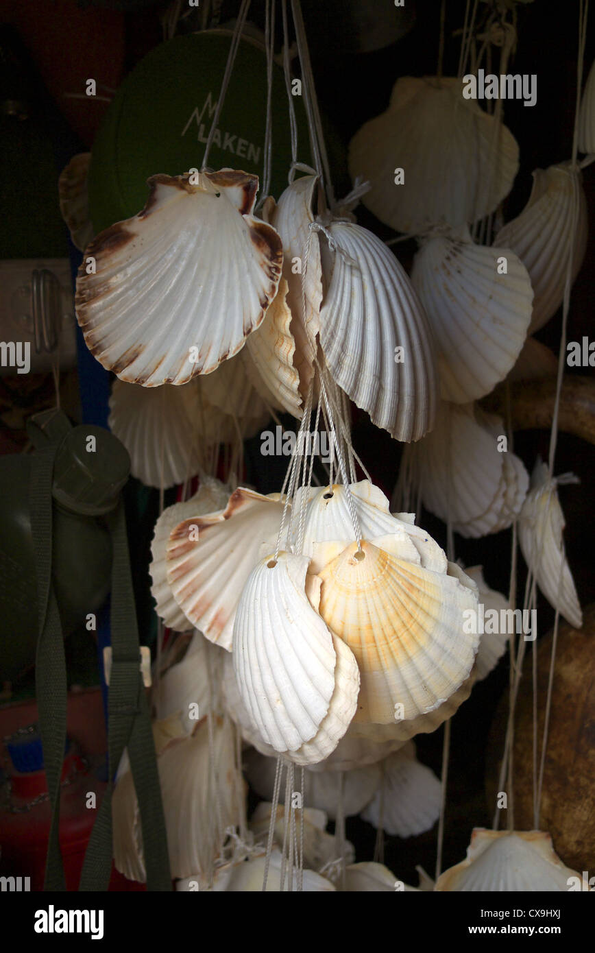 Scallop shells on sale along the Camino de Santiago route in Spain ...