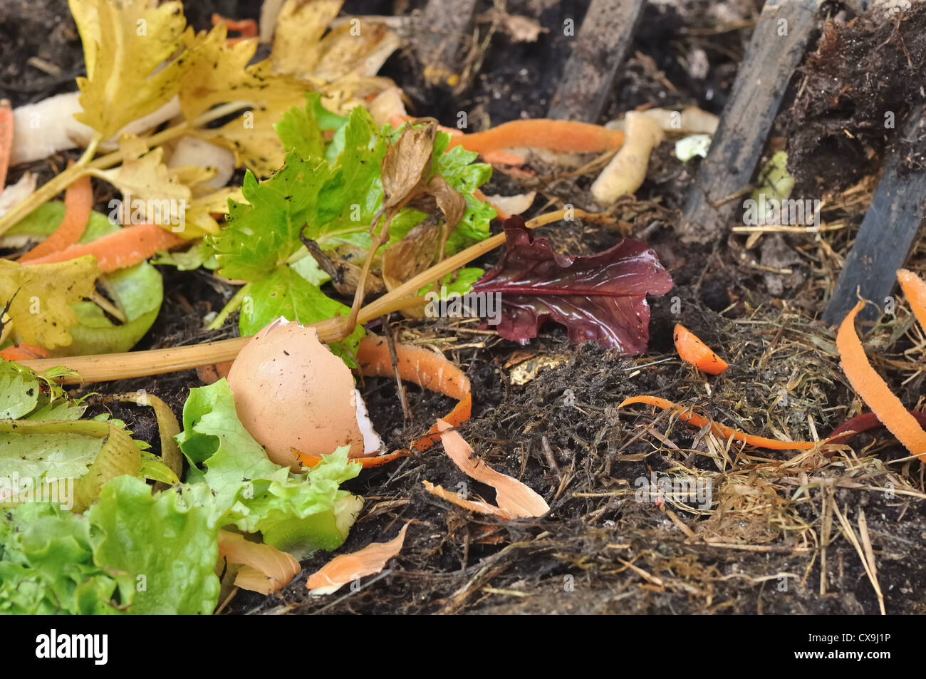 Composting hi-res stock photography and images - Alamy
