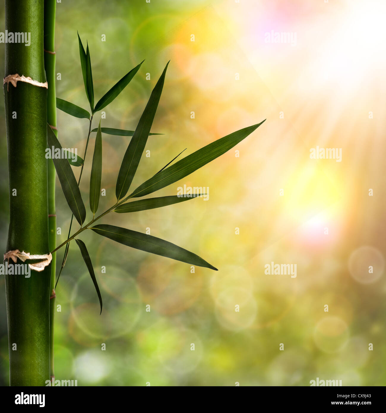 Asian environment hi-res stock photography and images - Alamy