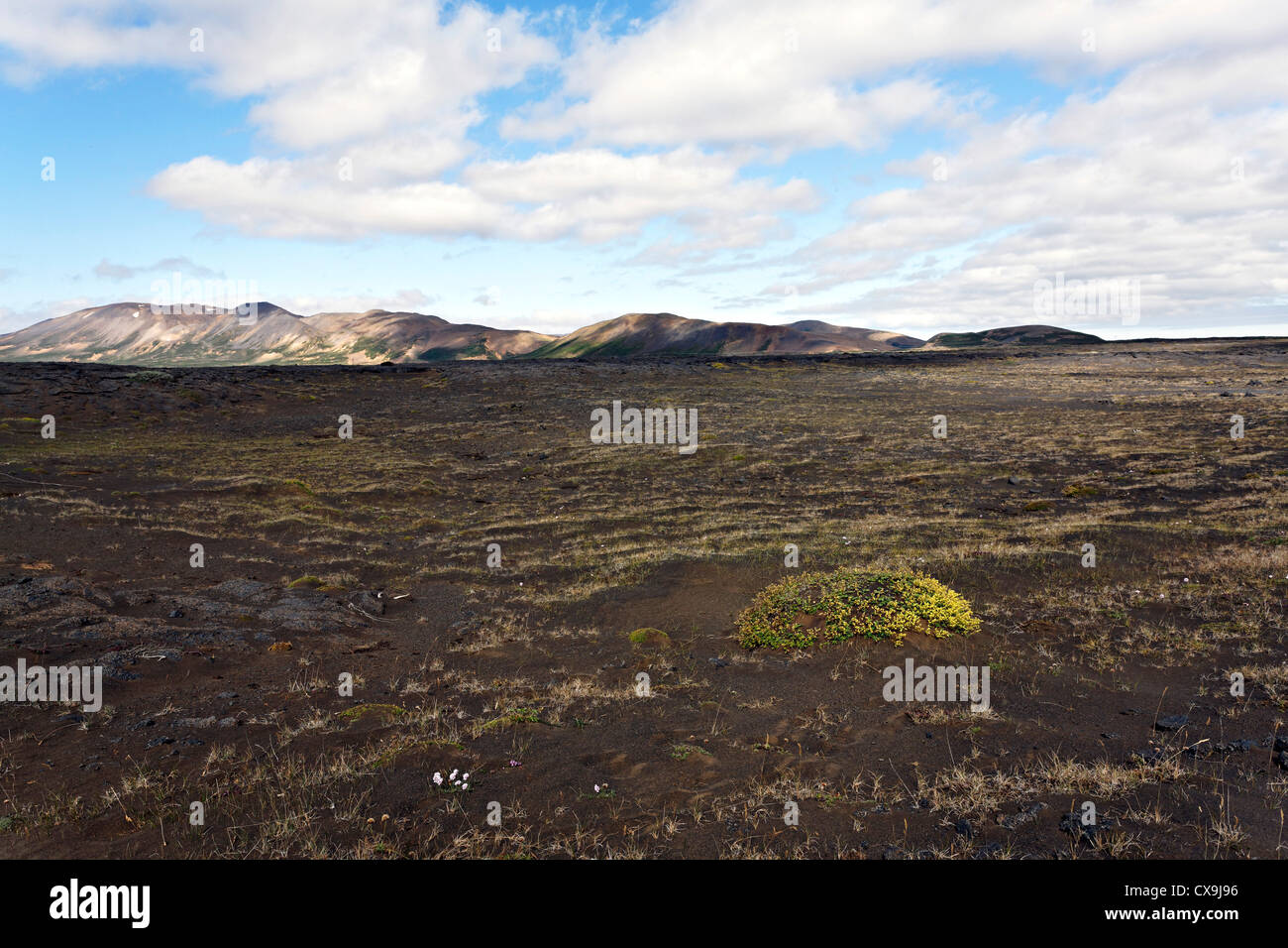 Landscape Krafla, Iceland Stock Photo - Alamy