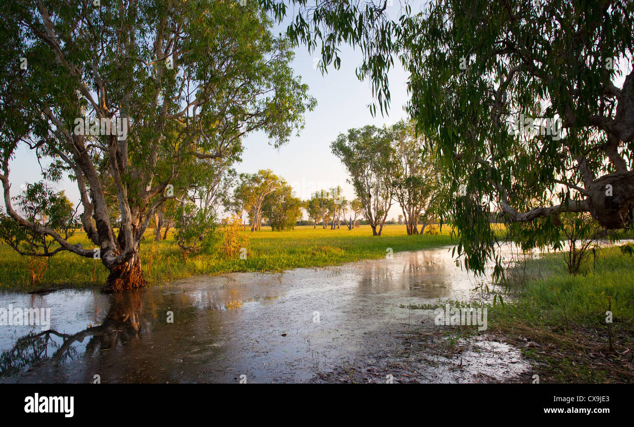 Yellow Water wetland, Kakadu National Park, Northern Territory Stock ...