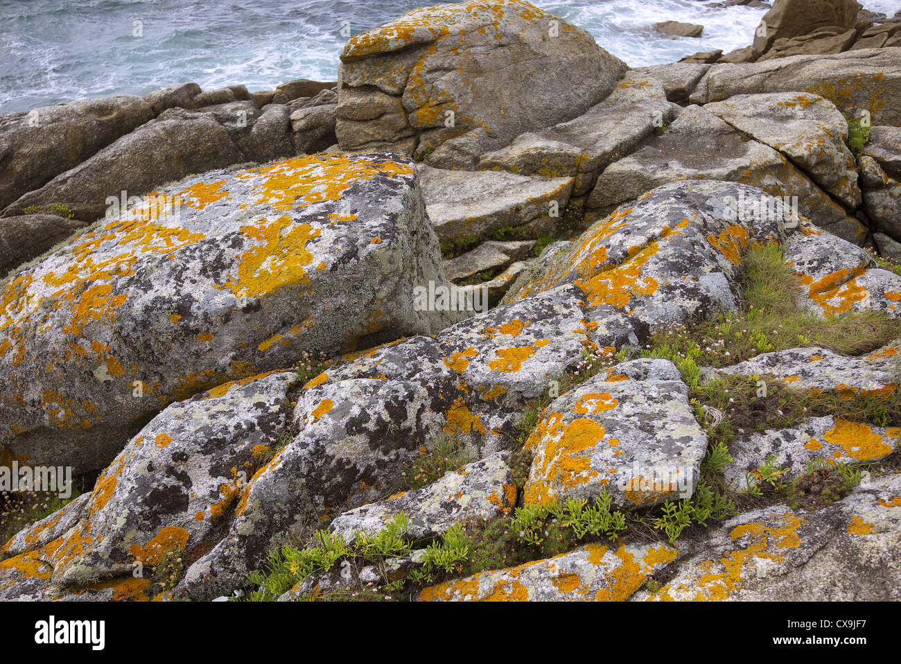 Lichen covered rocks on a beach in Galicia, Spain Stock Photo - Alamy